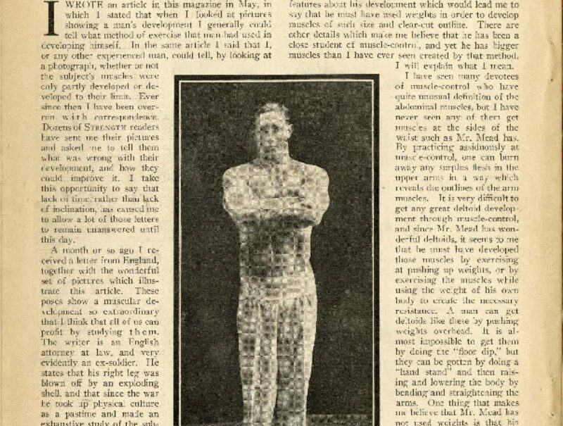 A Living Anatomical Chart | Rogue Fitness Australia