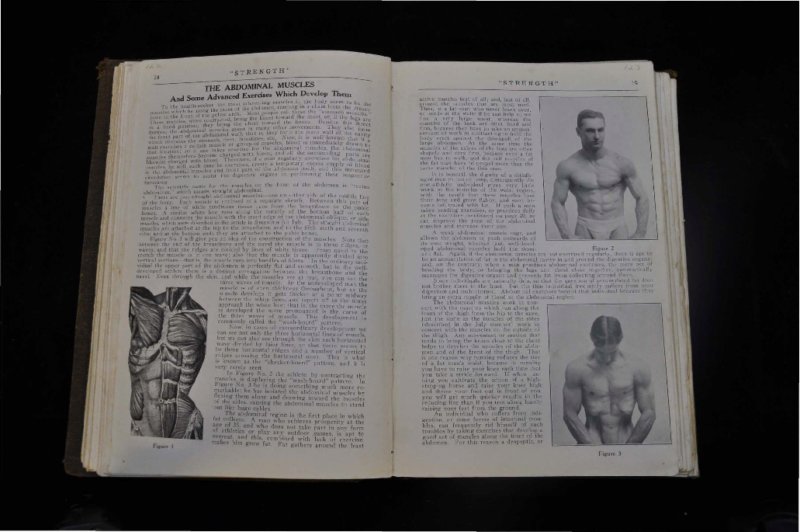 The Abdominal Muscles And Some Advanced Exercises Which Develop Them ...